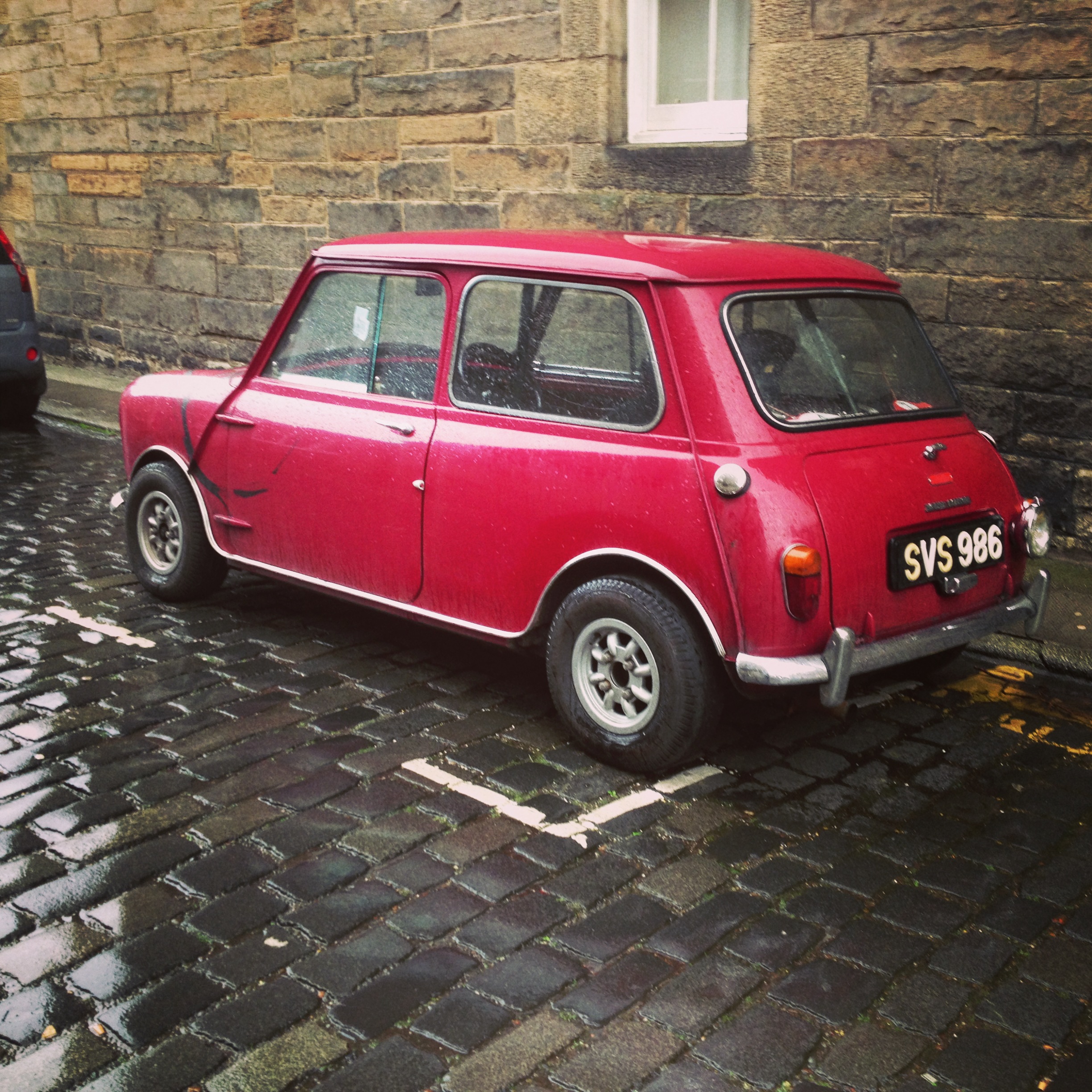 Snapshots | Regeneration